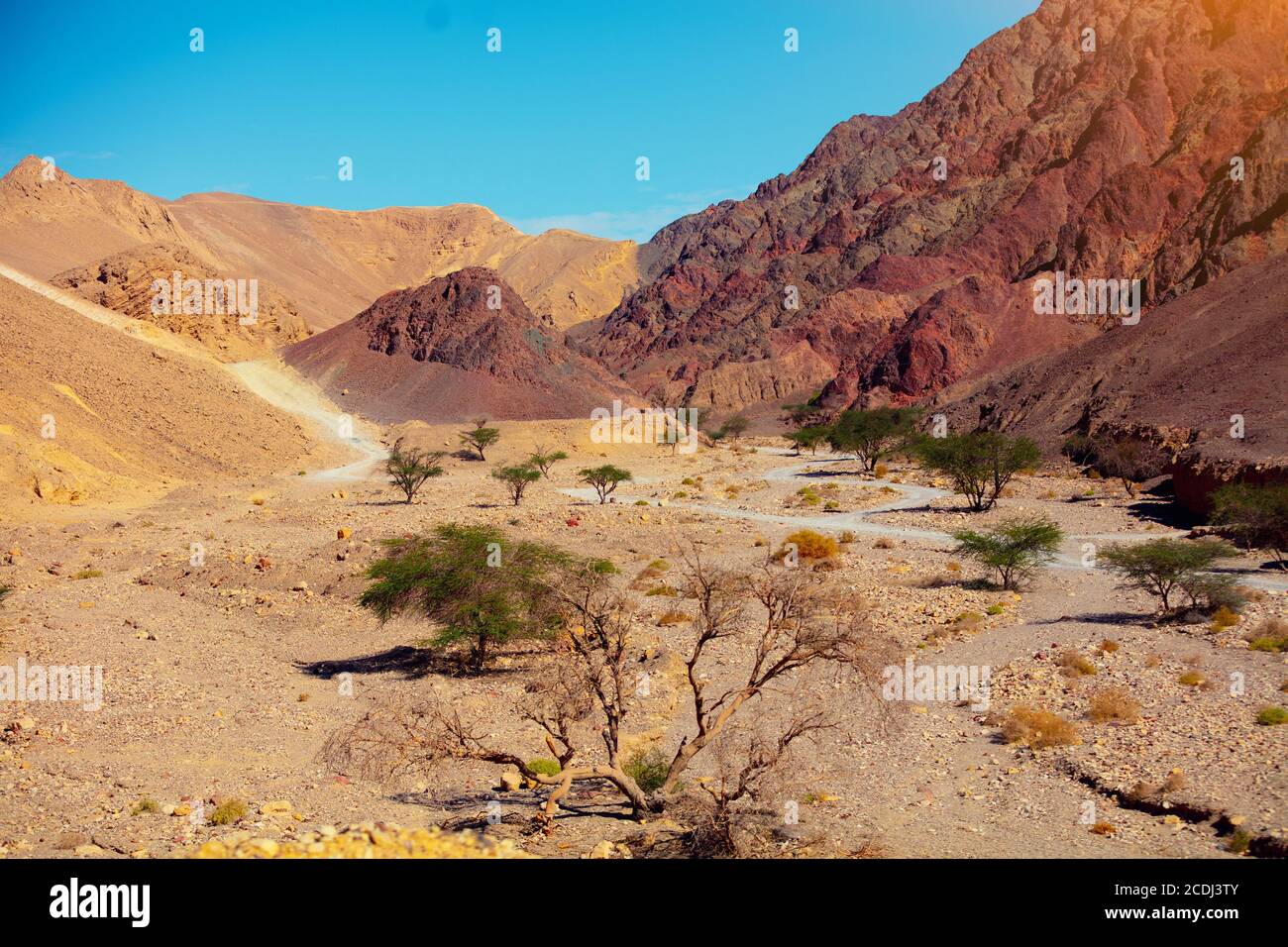 Desert landscape with trees. Colorful mountains and valley. Sandstone ...