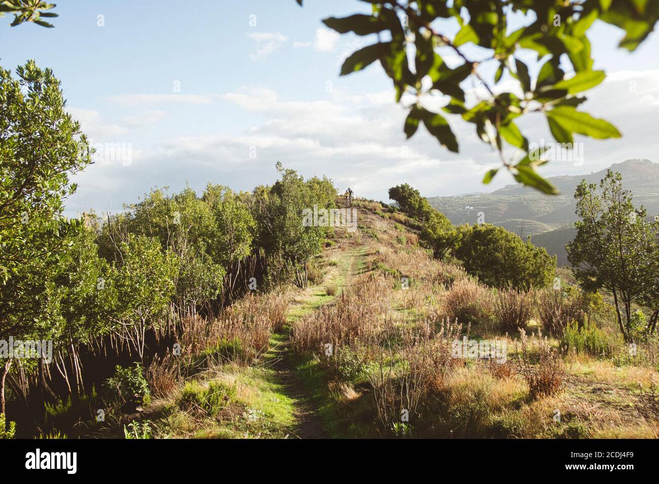 Pulled back view of two cyclists riding on mountain ridge path Stock ...