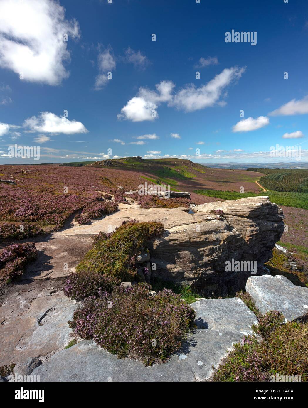 Summertime views across the Simonside Hills near Rothbury in ...