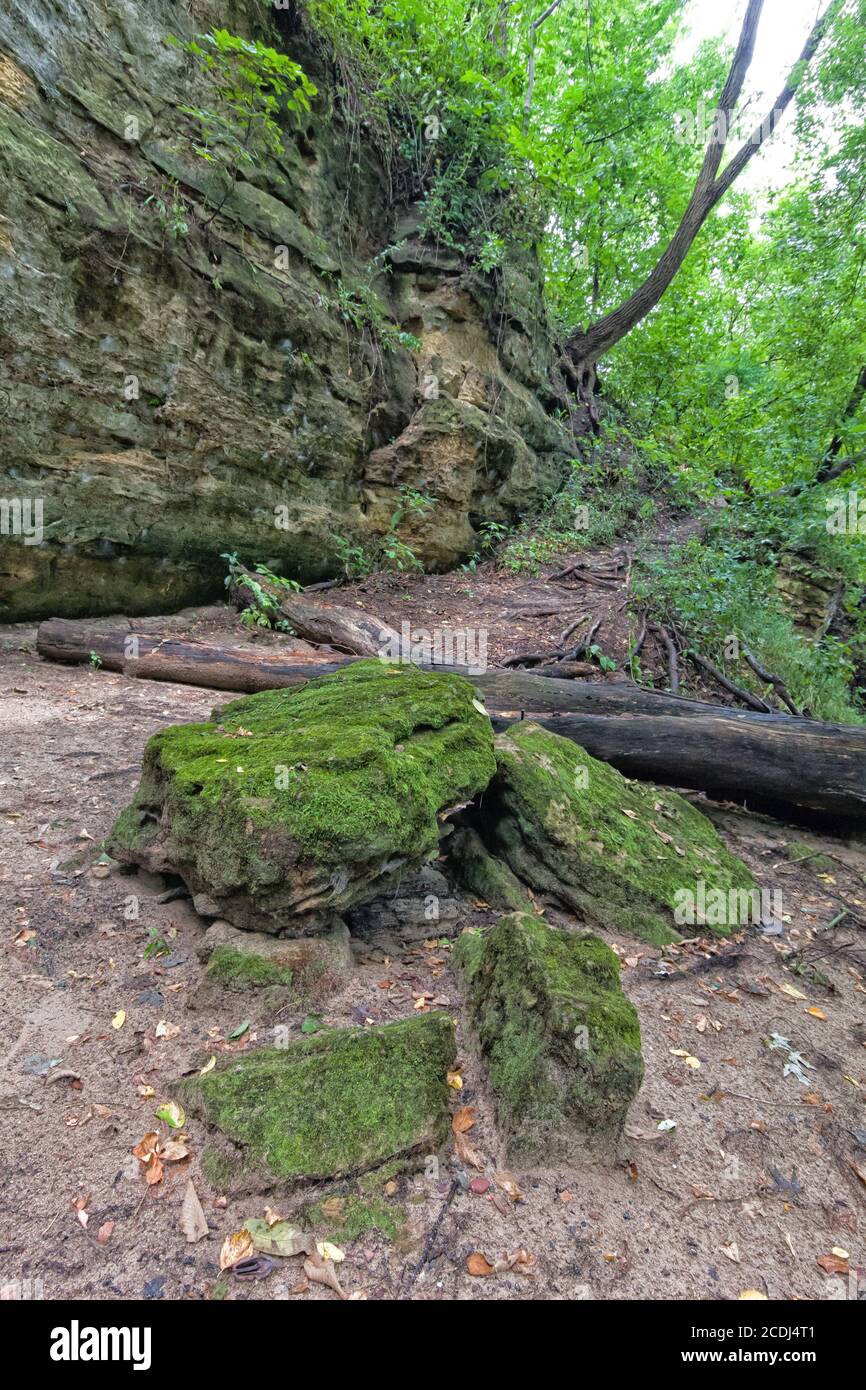 Moss covered river rocks hi-res stock photography and images - Alamy