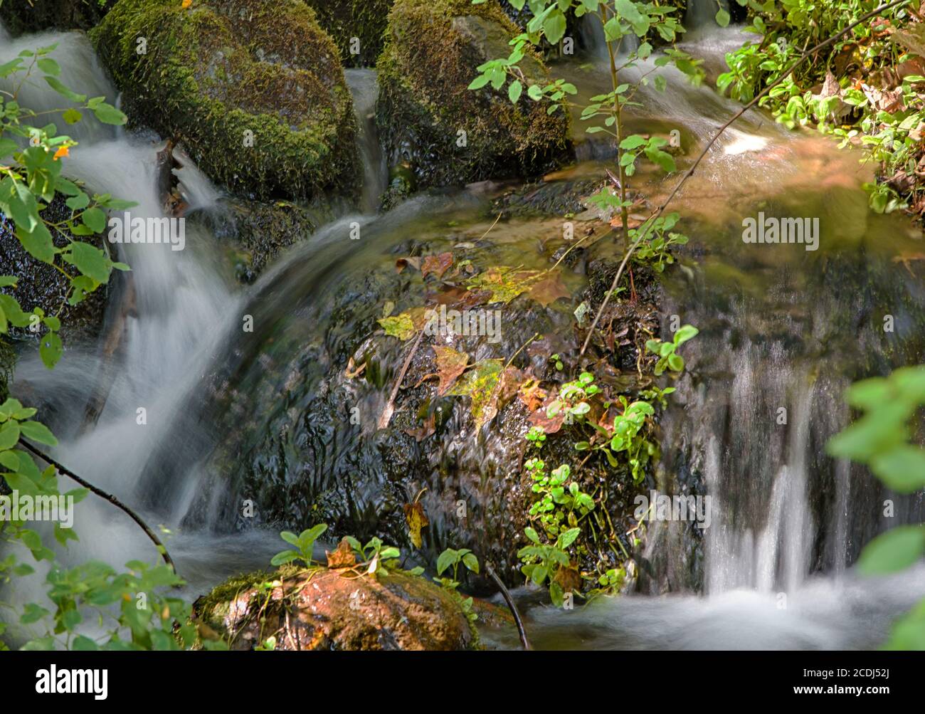 Turning over rocks hi-res stock photography and images - Alamy