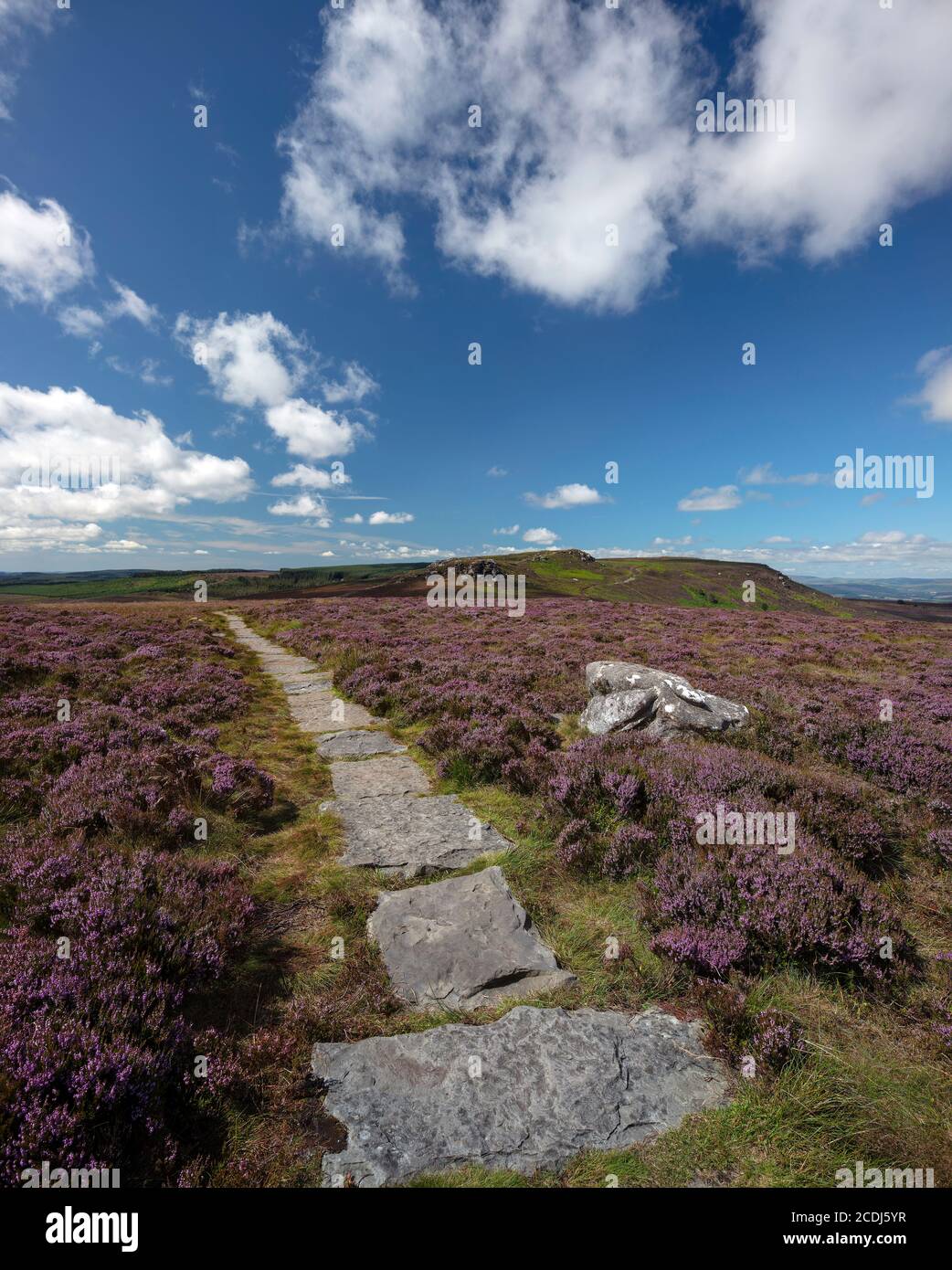 Summertime views across the Simonside Hills near Rothbury in ...