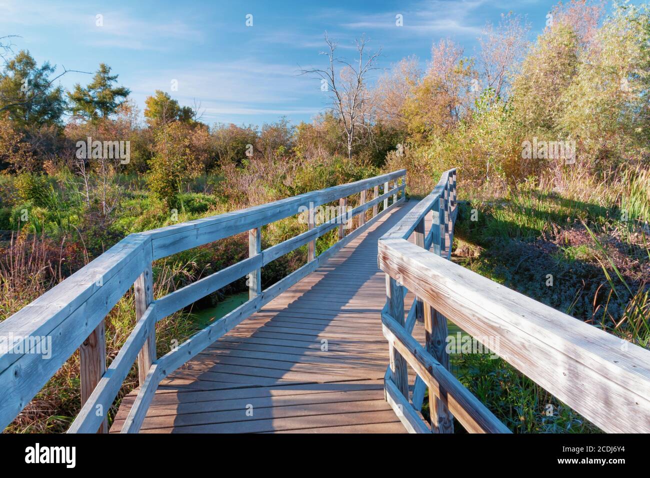 Marsh Scenes High Resolution Stock Photography and Images - Alamy