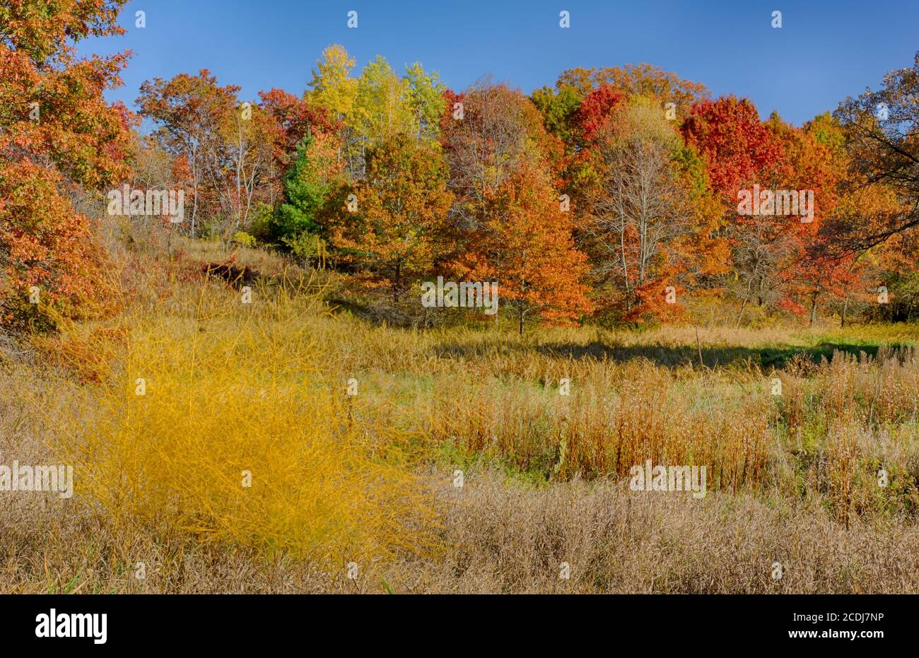 Color full sky hi-res stock photography and images - Alamy