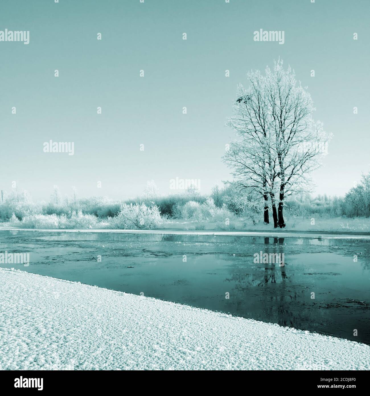 Bushes in the river hi-res stock photography and images - Alamy