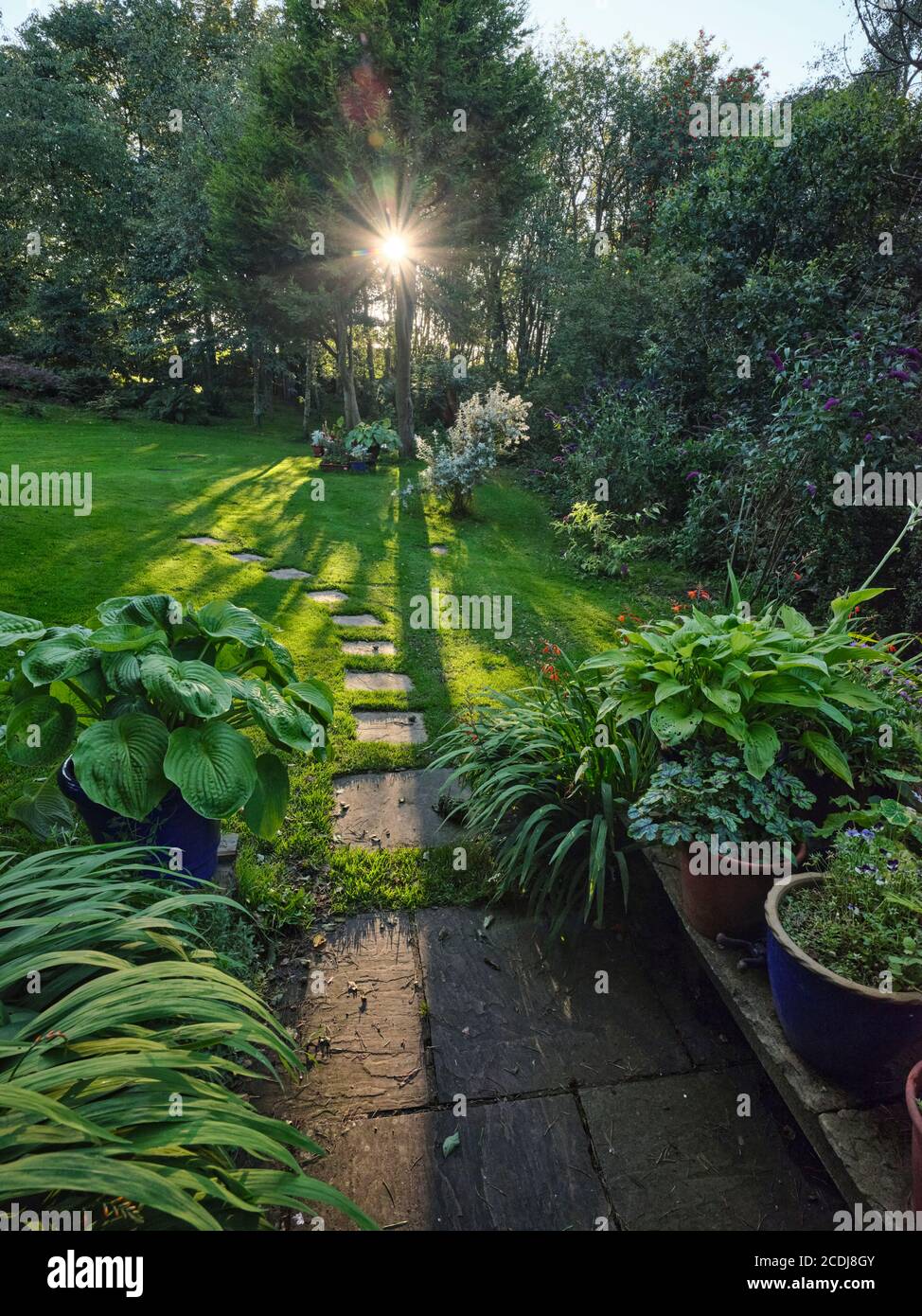 Garden shadows hi-res stock photography and images - Alamy