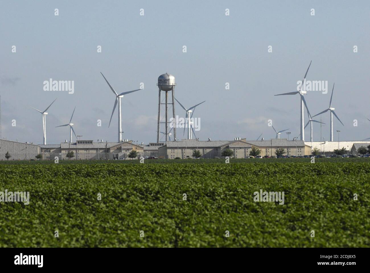 Texas State Highway 180