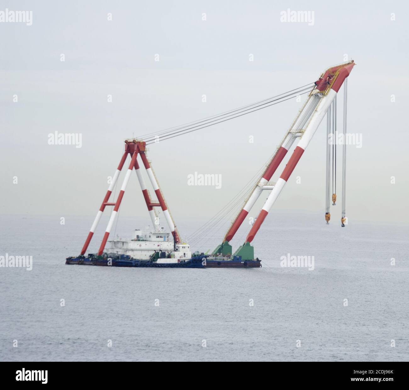 Crane on the sea Stock Photo - Alamy