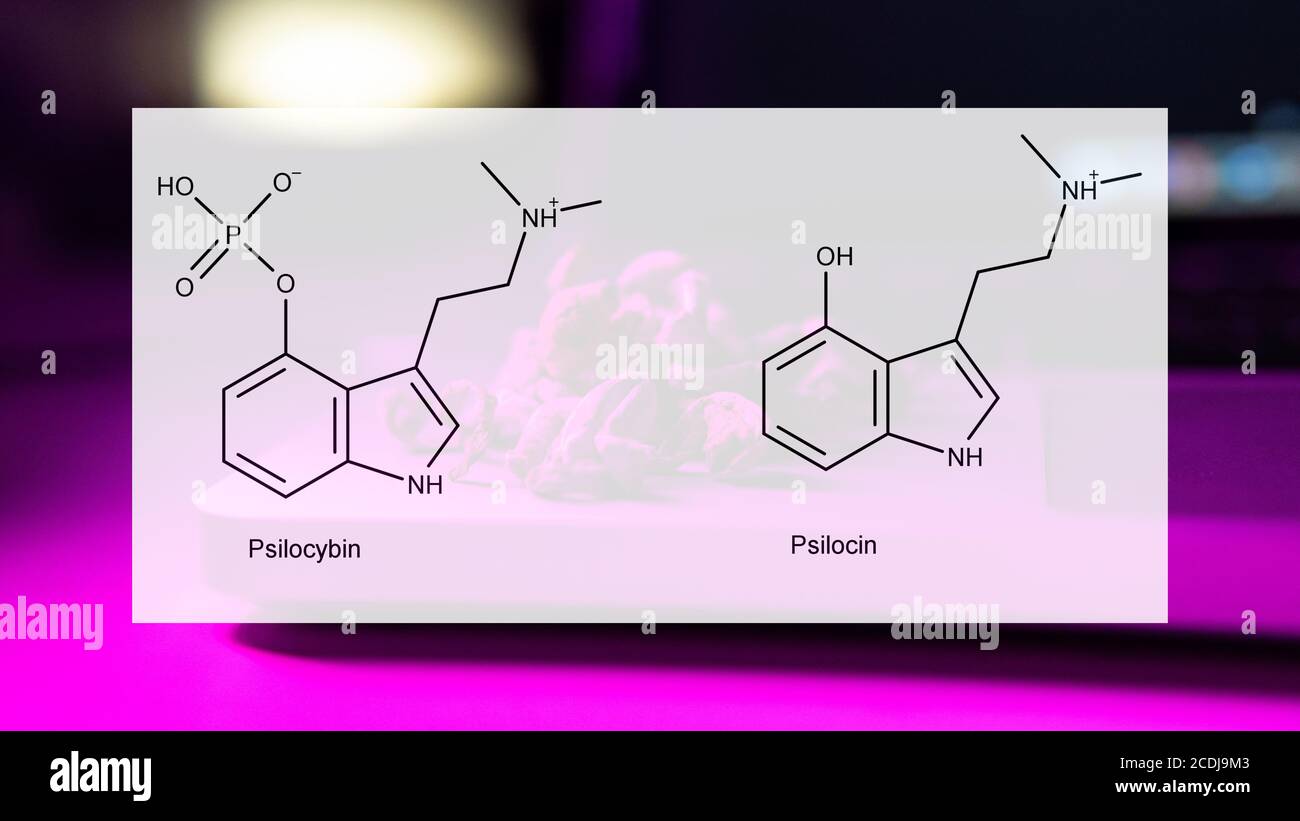 the medical effects of psilocybin and psilocin on the psychological and ...