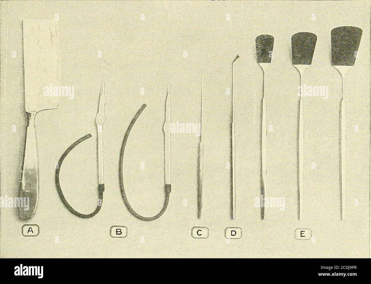 . Surgery, its principles and practice . by introducing the ...