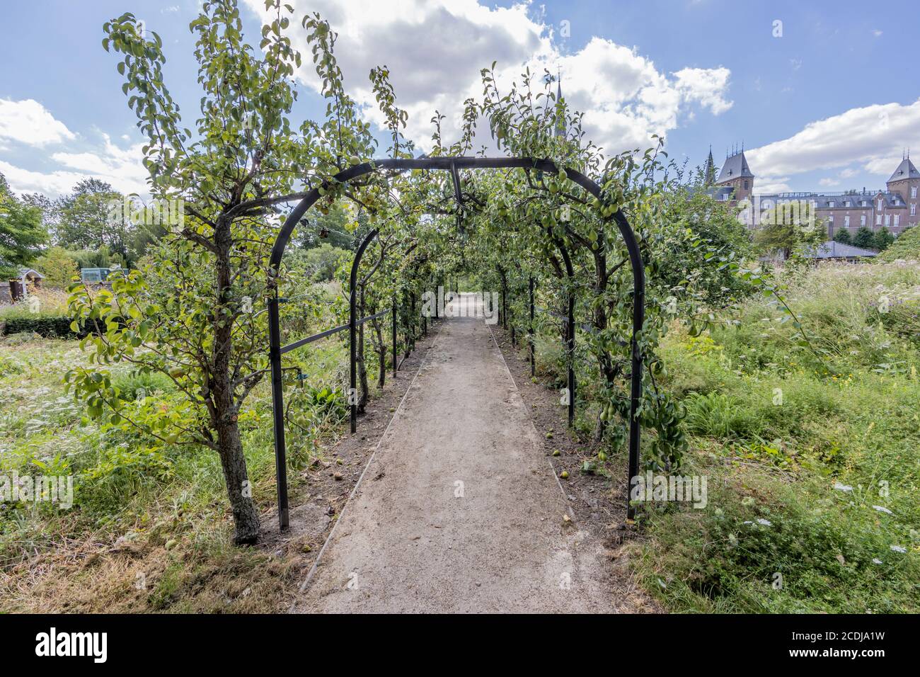 Arched Pergola High Resolution Stock Photography and Images - Alamy