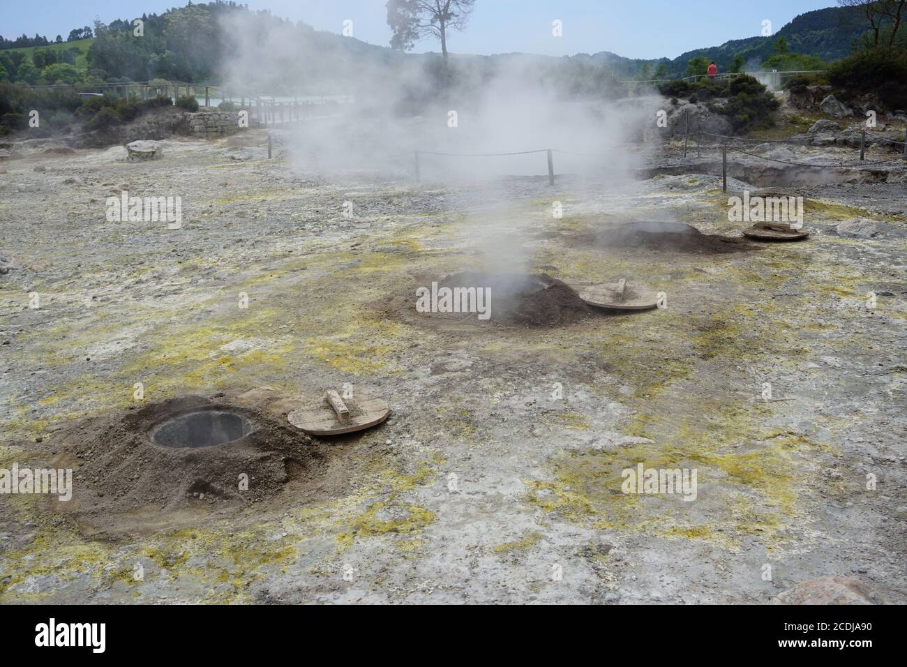 Cooking steam holes in Furnas - Cozido das Furnas: the Azores Islands ...