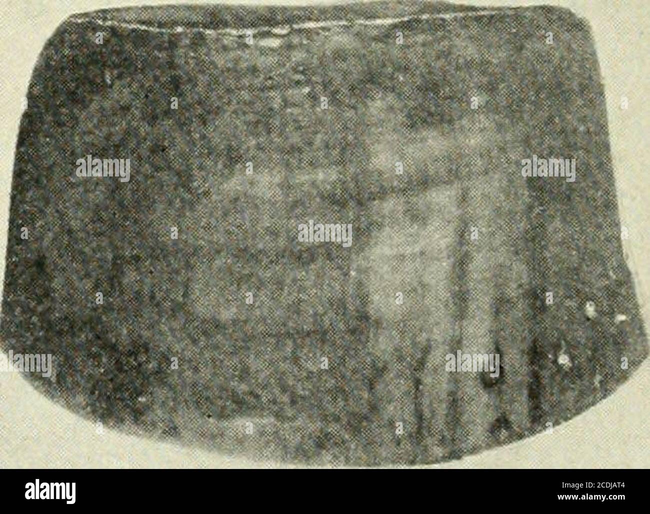 . Veterinary post-mortem technic . Fig. 90.—Lines of incision for ...