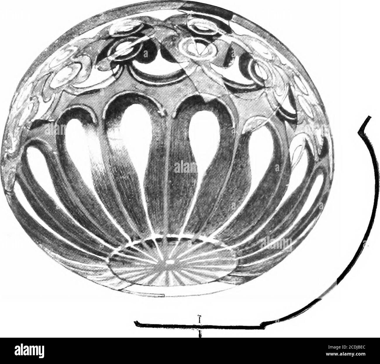 Lily minos hi-res stock photography and images - Alamy