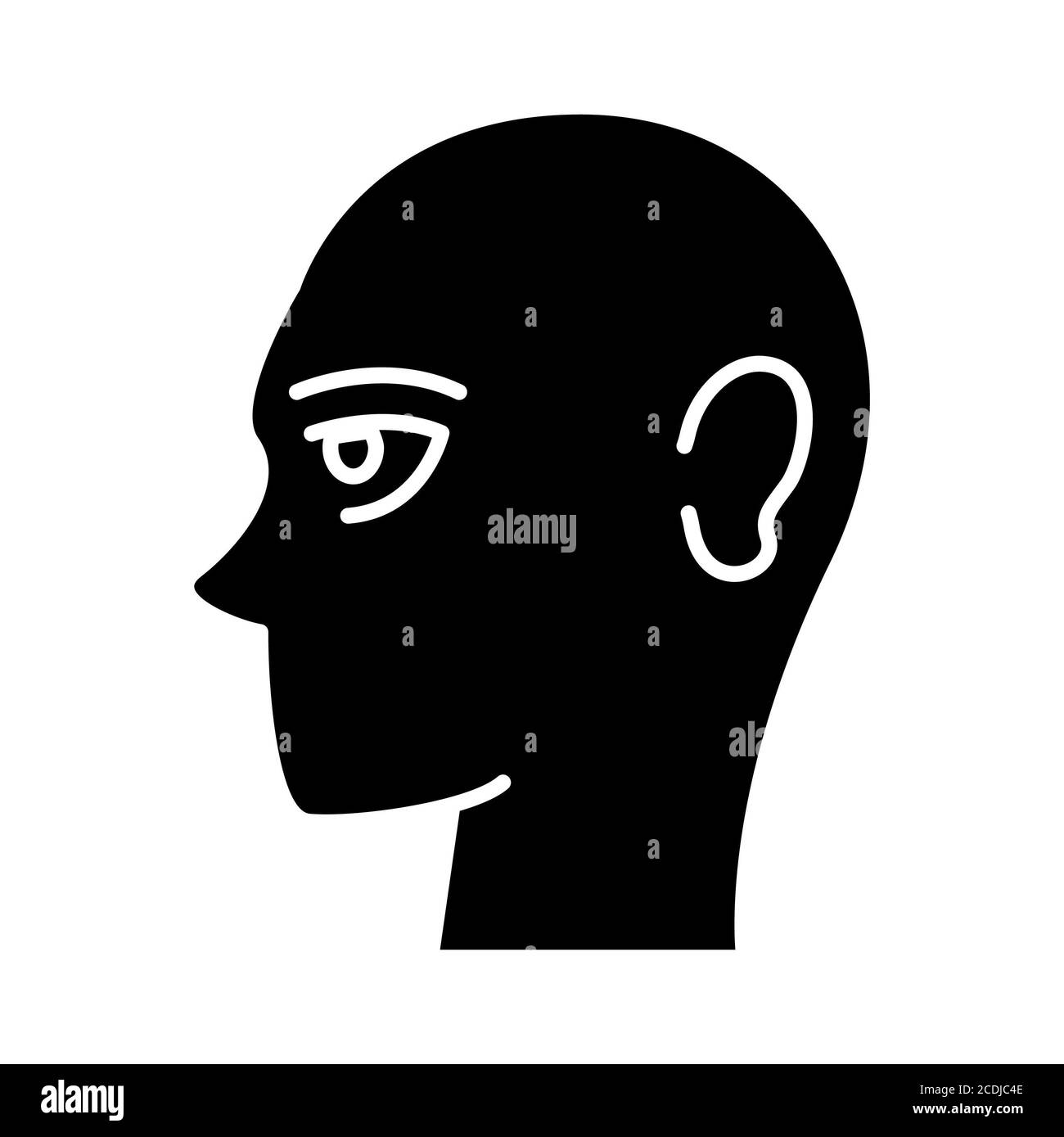 Head Anatomy Glyph Icons Stock Photo - Alamy