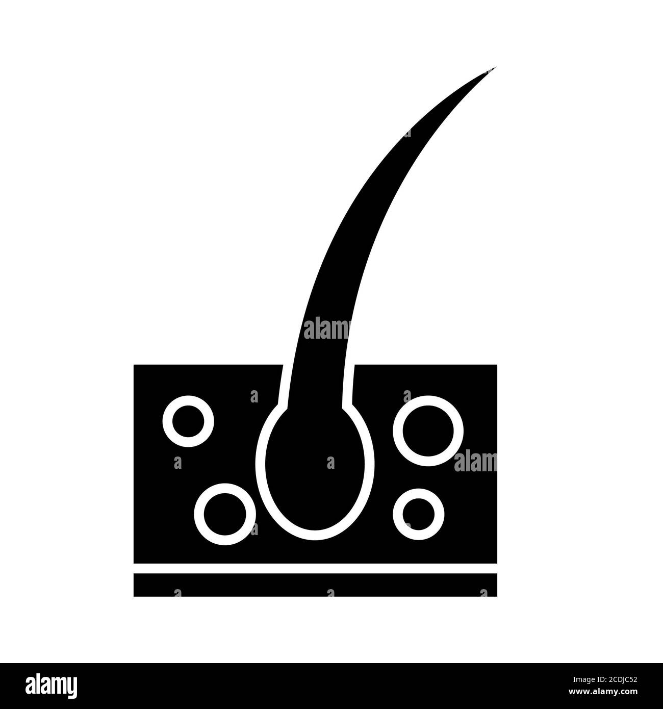 Hair human anatomy hi-res stock photography and images - Alamy