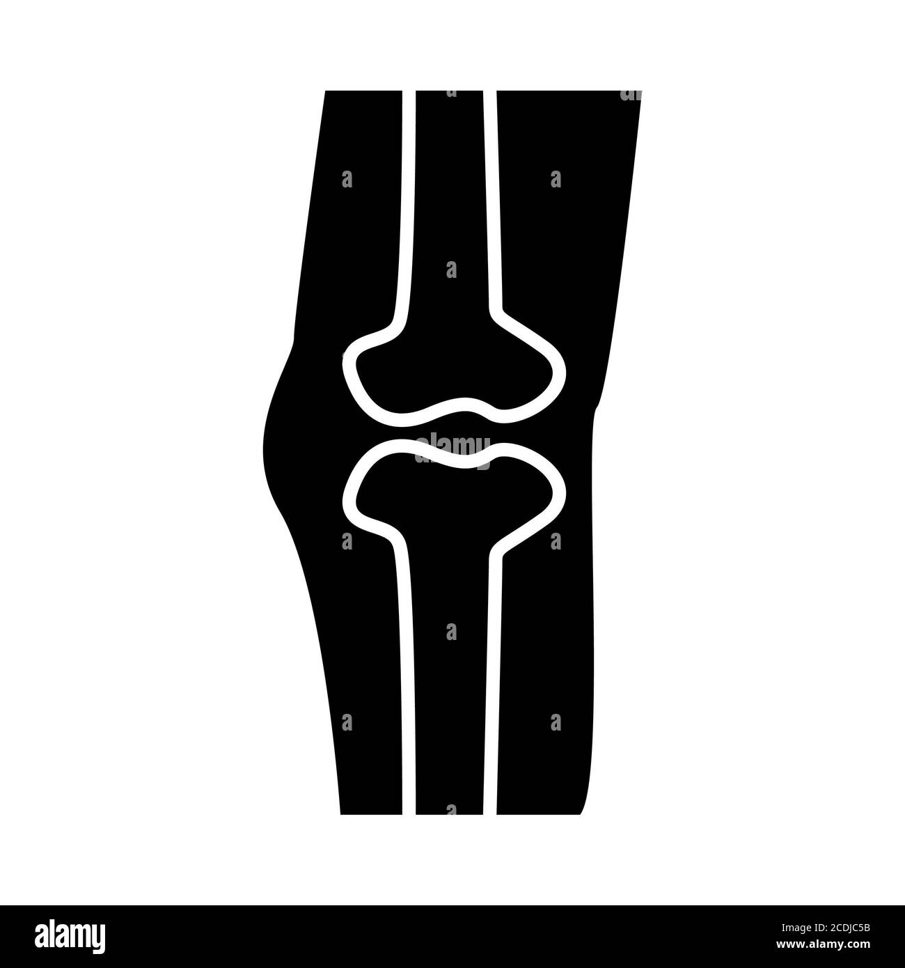 Human organs bones joints Cut Out Stock Images & Pictures - Alamy