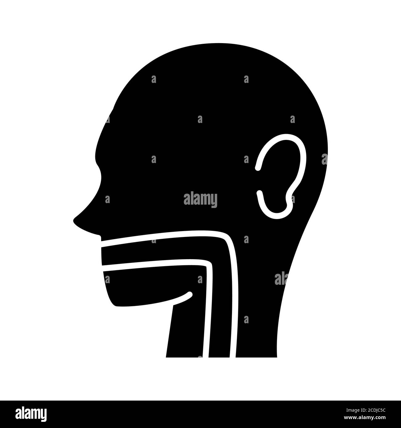 Human throat hi-res stock photography and images - Alamy