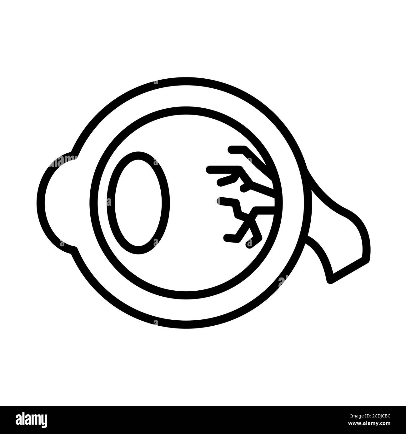 Eye Lens Anatomy Line Icon Stock Photo - Alamy