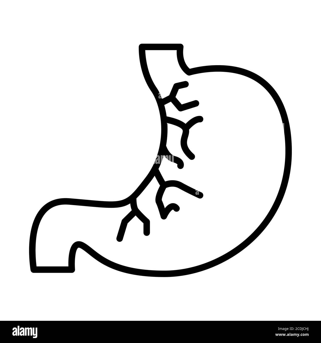 Anatomical stomach icon human Black and White Stock Photos & Images - Alamy
