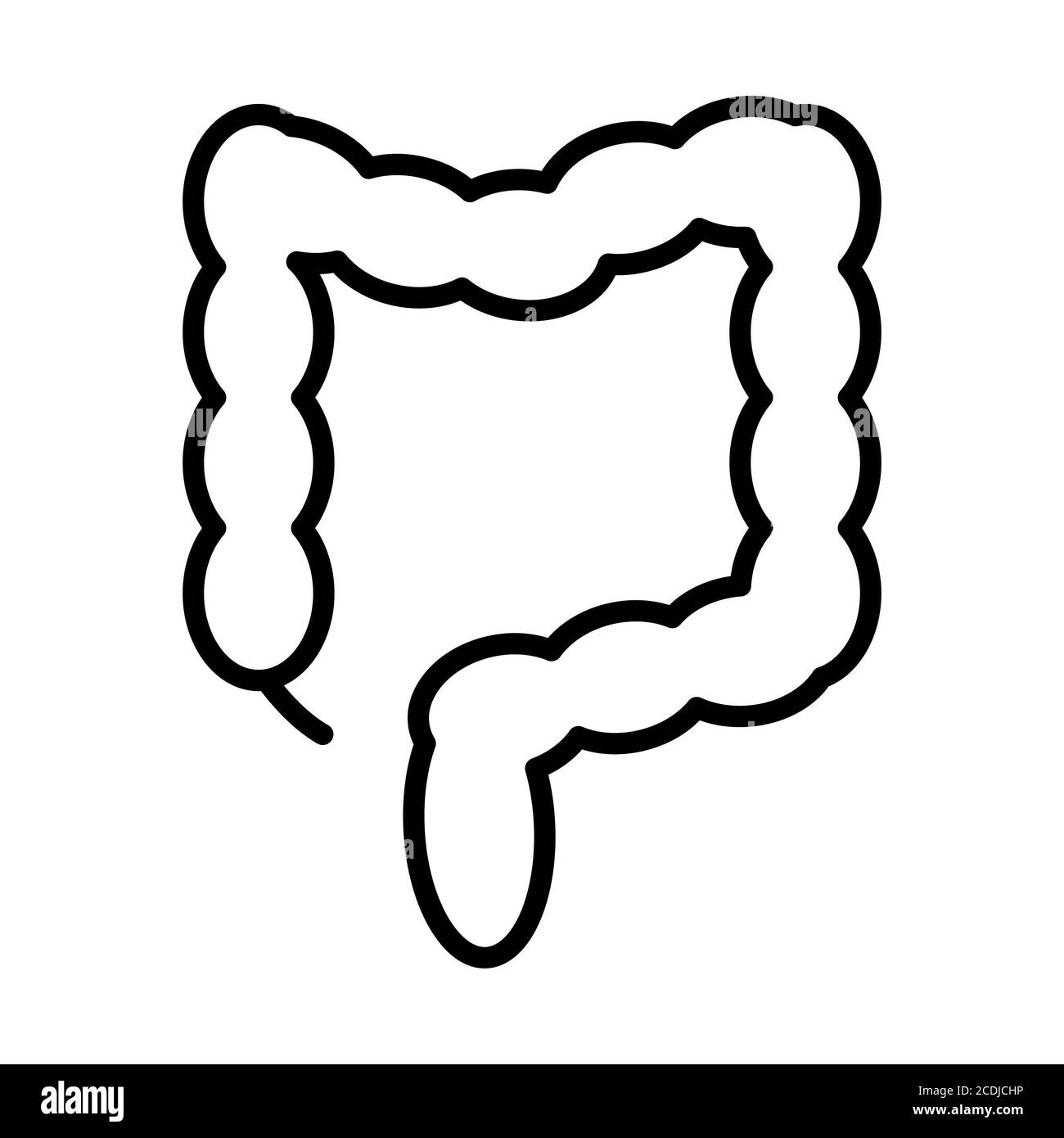 Intestine anatomy hi-res stock photography and images - Alamy