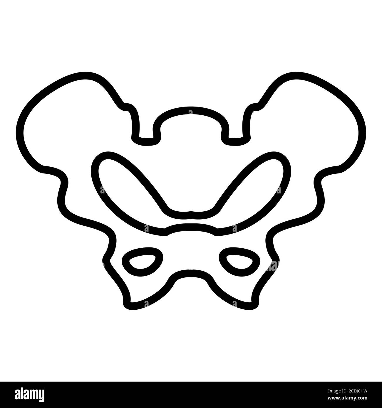 Bone Anatomy Line Icon Stock Photo - Alamy