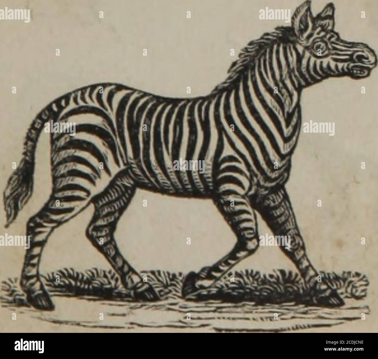 . Elementary exercises for the deaf and dumb . [ 310 ]BIRDR Stock Photo ...