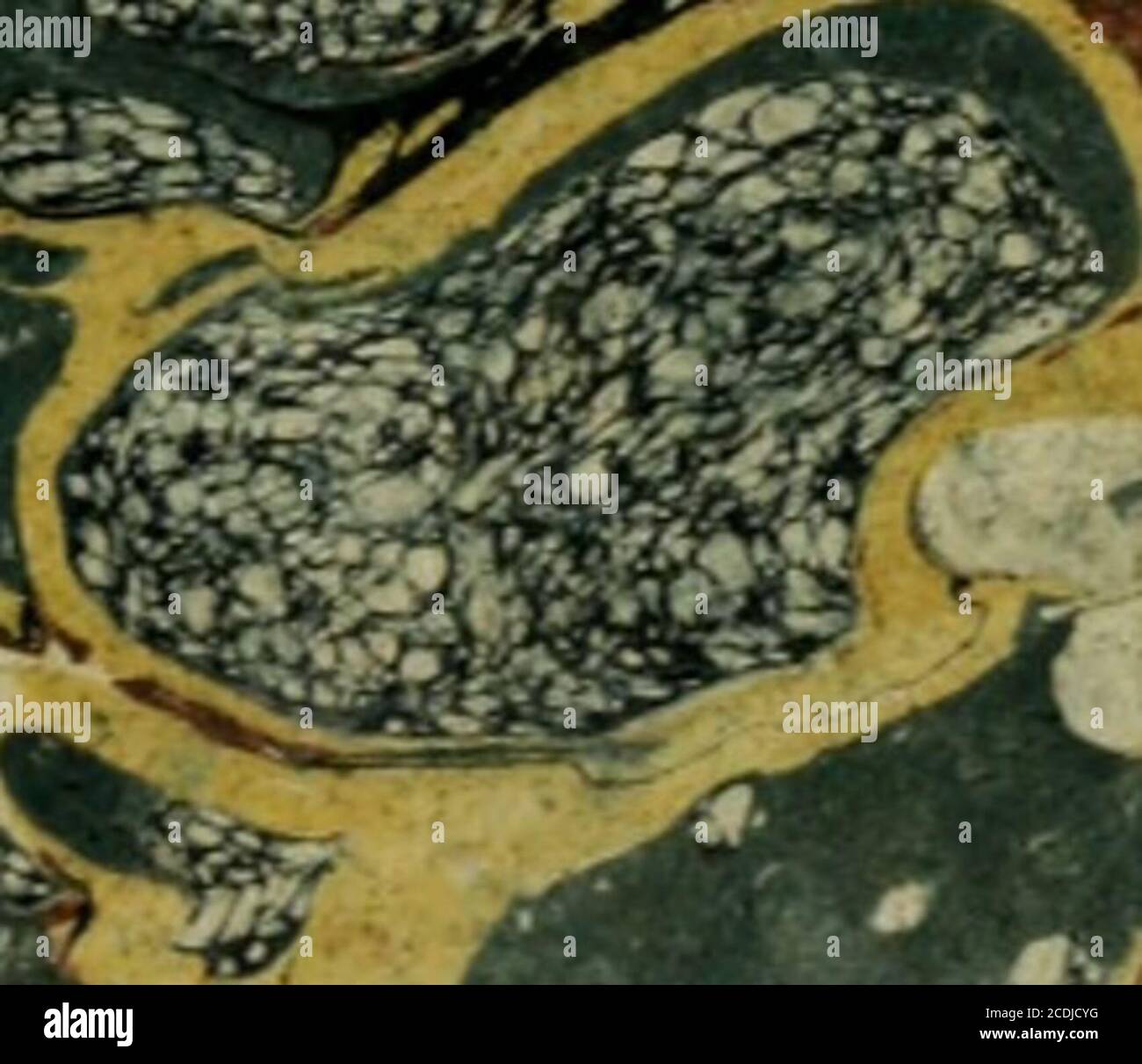 Bookidlayofirishha hi-res stock photography and images - Alamy