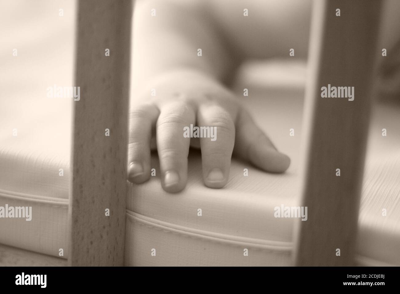 Hand of the child Stock Photo - Alamy