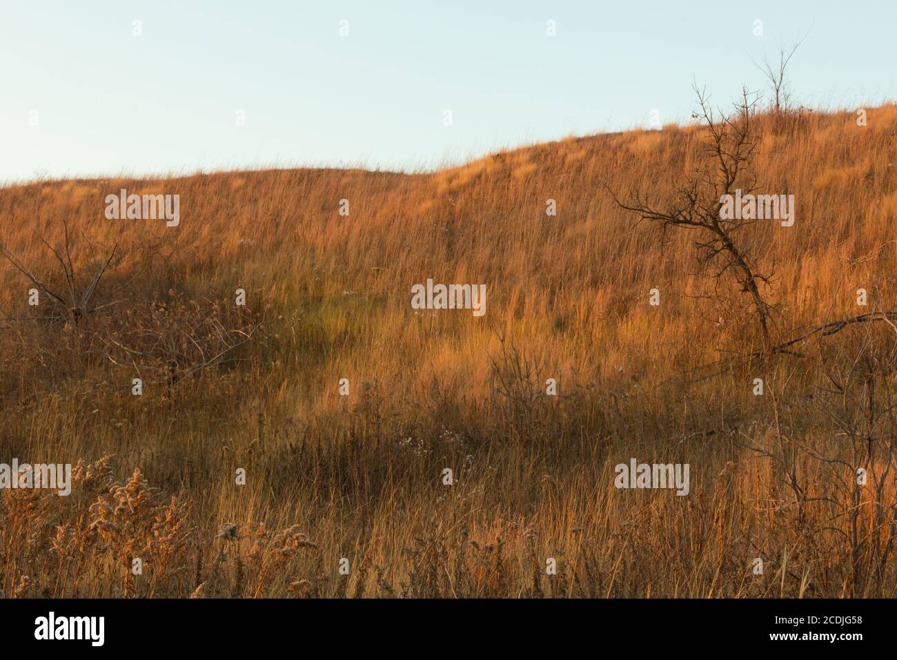 Amber Colored Riiver Bluffs Stock Photo - Alamy