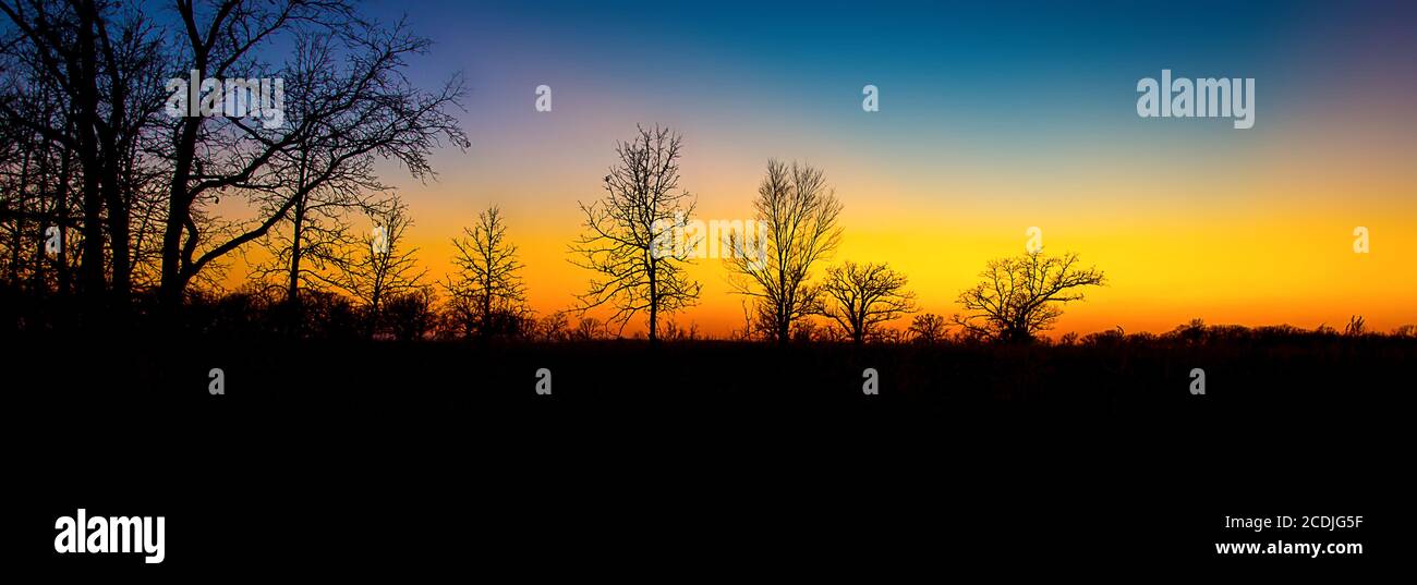 Sunset through trees trees hi-res stock photography and images - Alamy