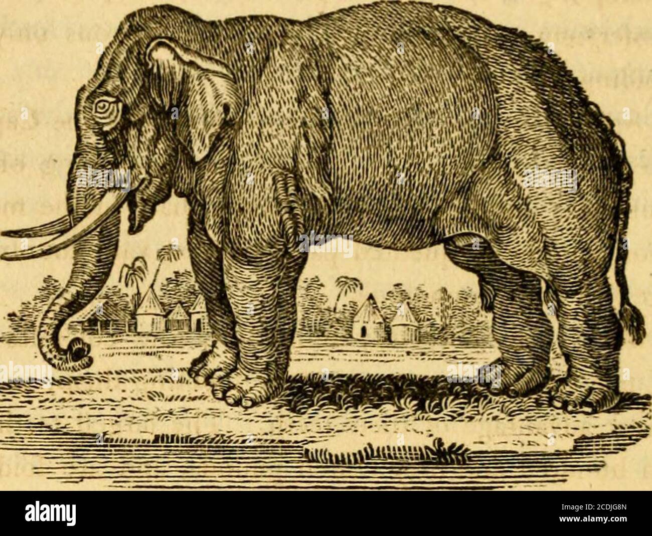 . A general history of quadrupeds : the figures engraved on wood . 186 ...