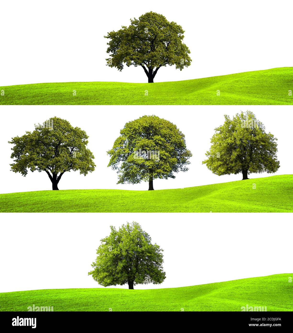 Collection of green trees Stock Photo - Alamy