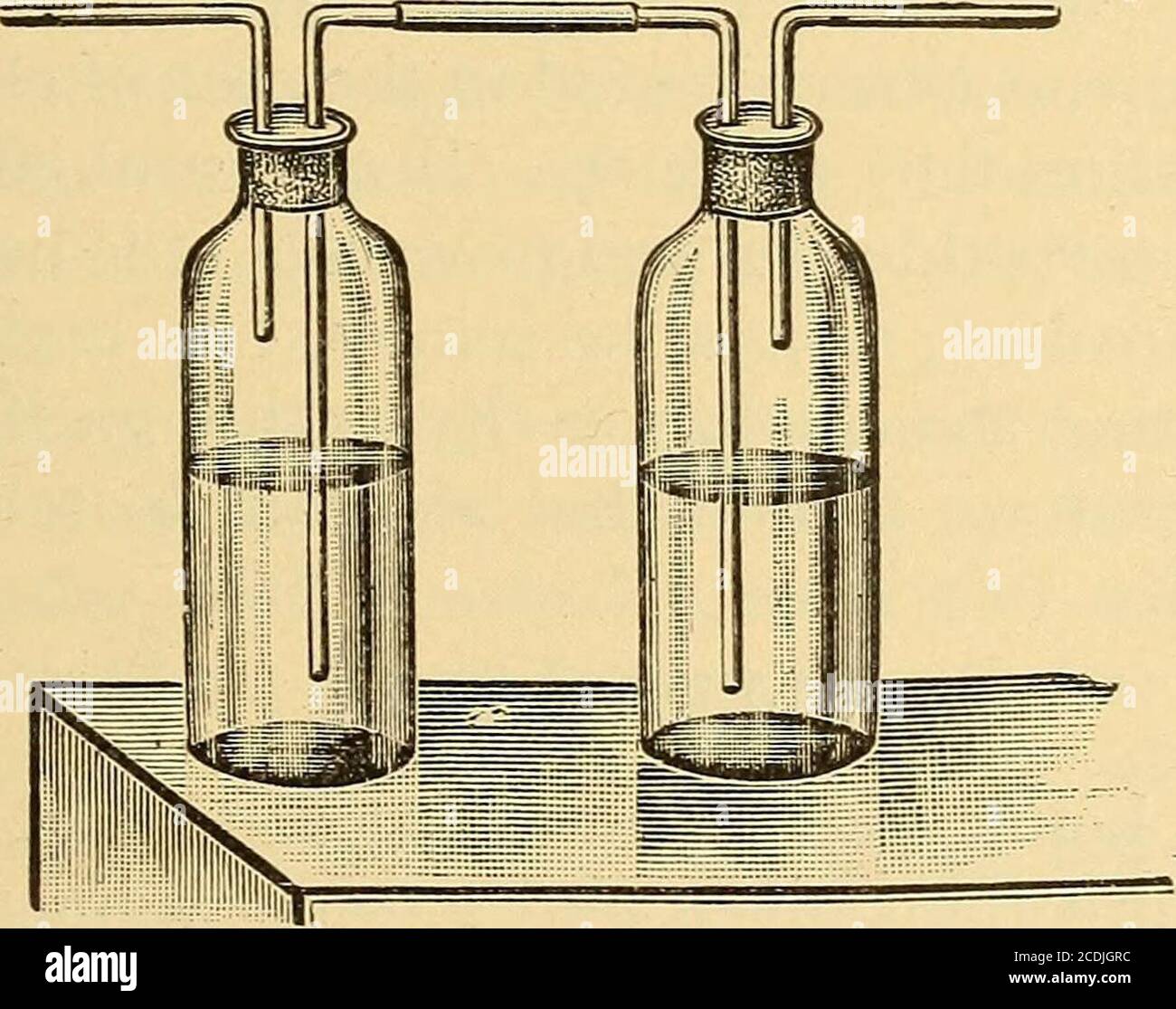 Sacculated hi-res stock photography and images - Alamy