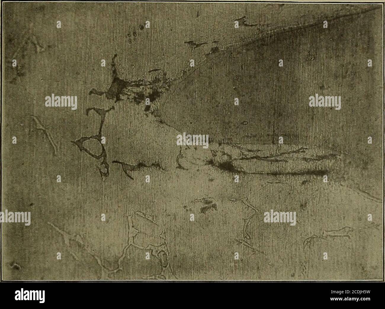 Zinc metal copper metal solution hi-res stock photography and images ...