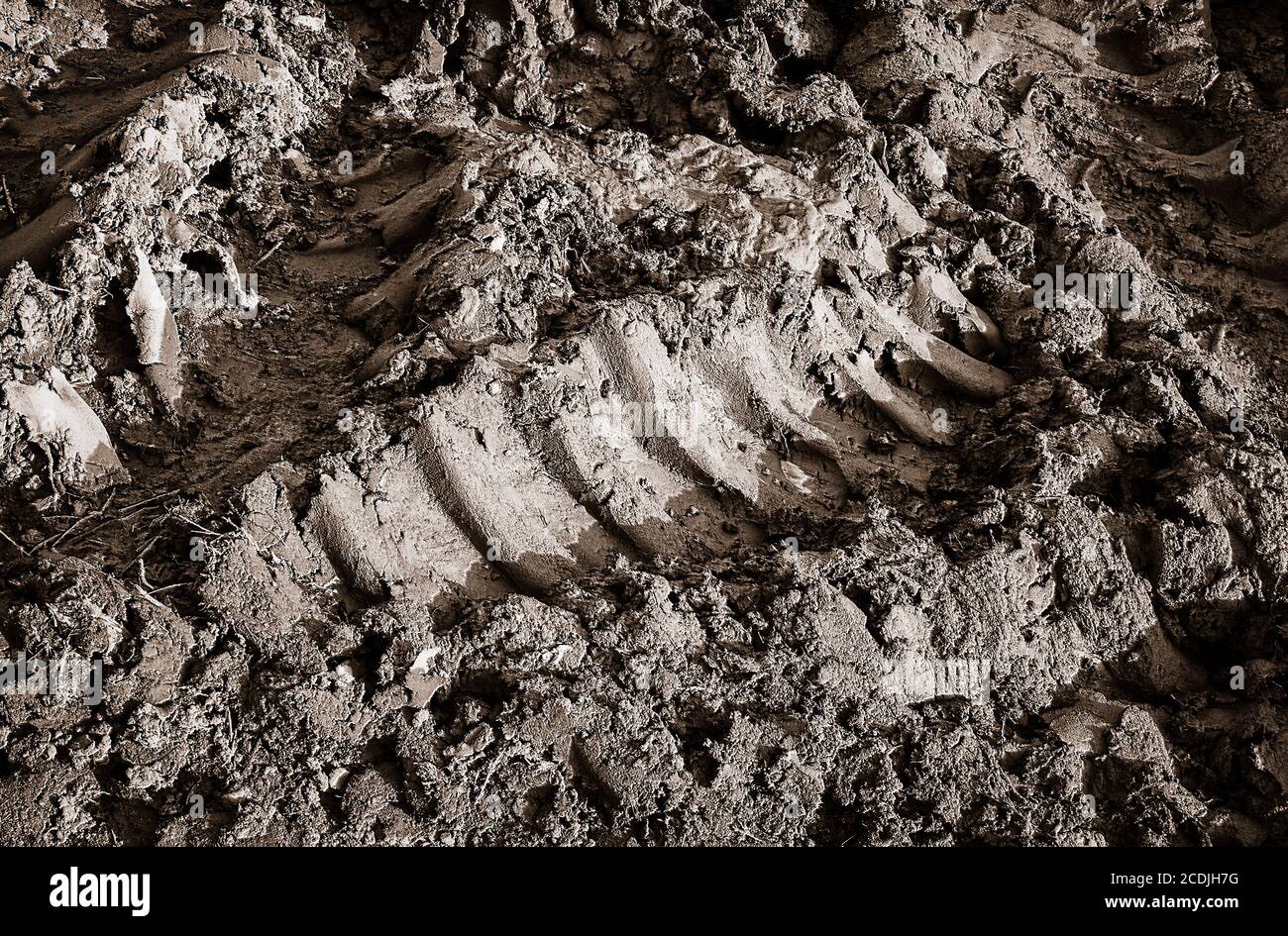 Mud Tire Tracks at Construction Site Stock Photo - Alamy