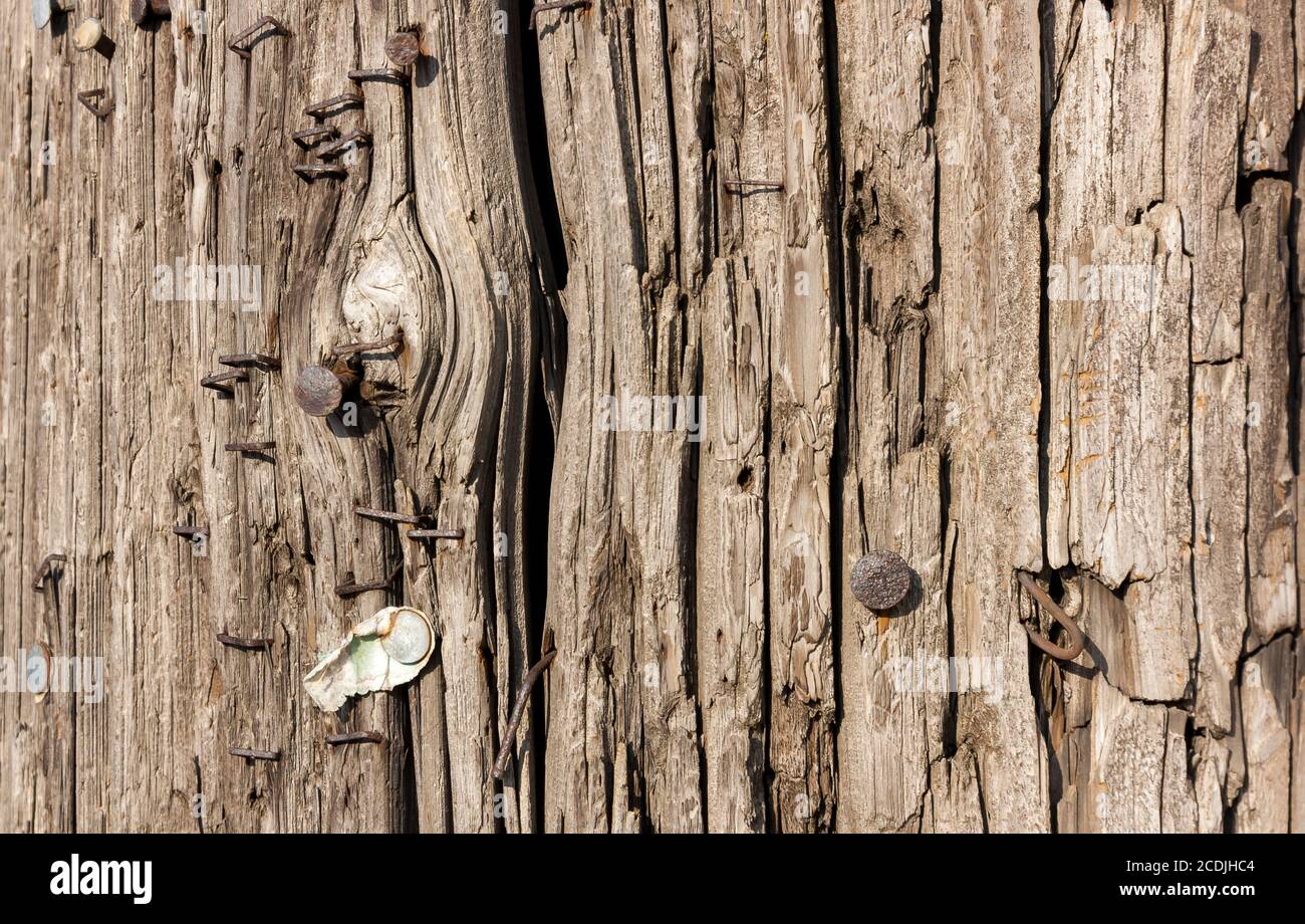 Worn Telephone Pole Texture and Background Stock Photo - Alamy