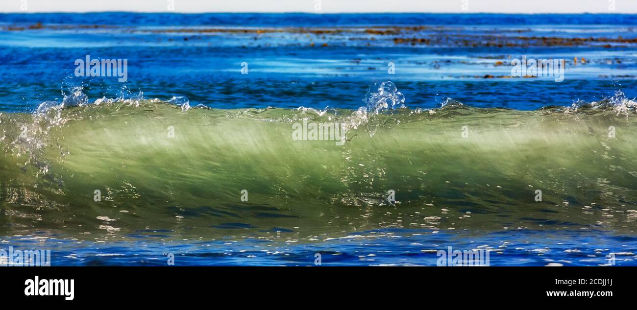 Translucent Ocean Wave Stock Photo - Alamy