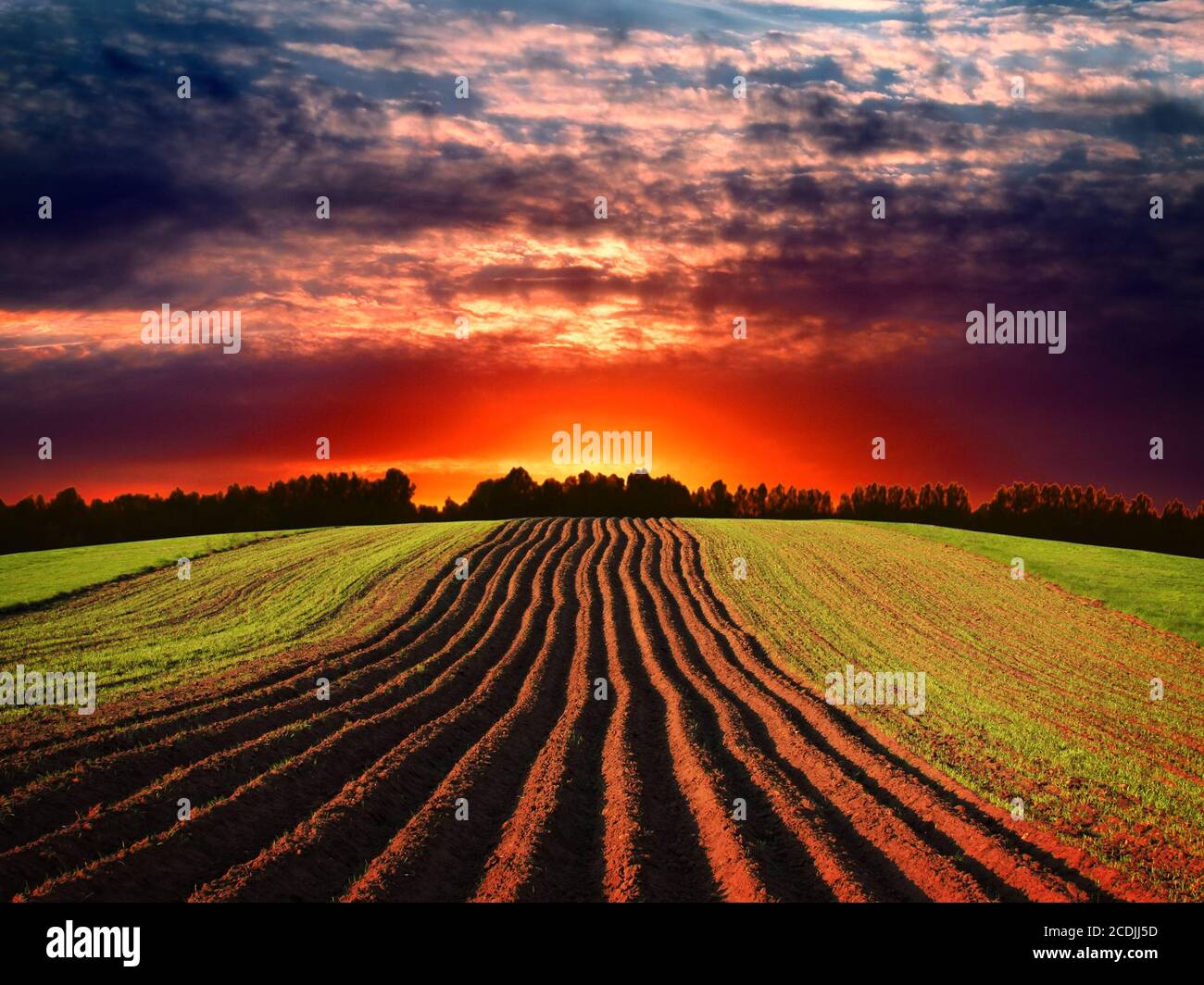Beautiful rural landscape sunset hi-res stock photography and images ...