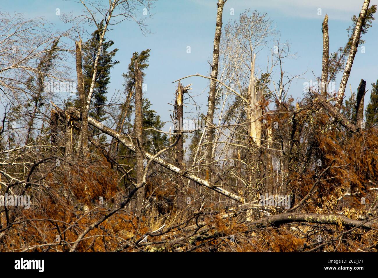 St croix river, state forest hi-res stock photography and images - Alamy