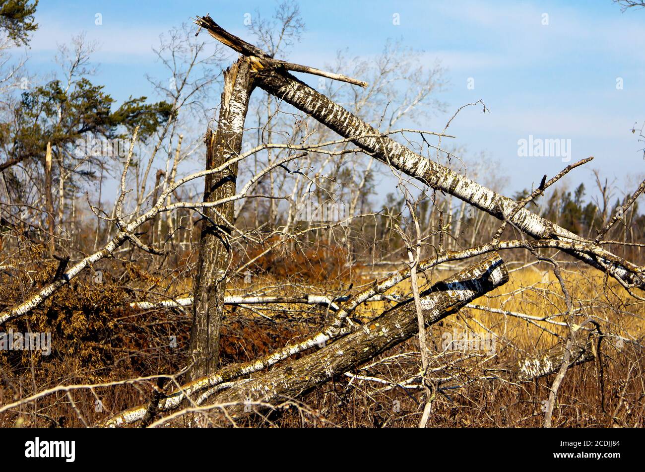 Straight line winds hi-res stock photography and images - Alamy