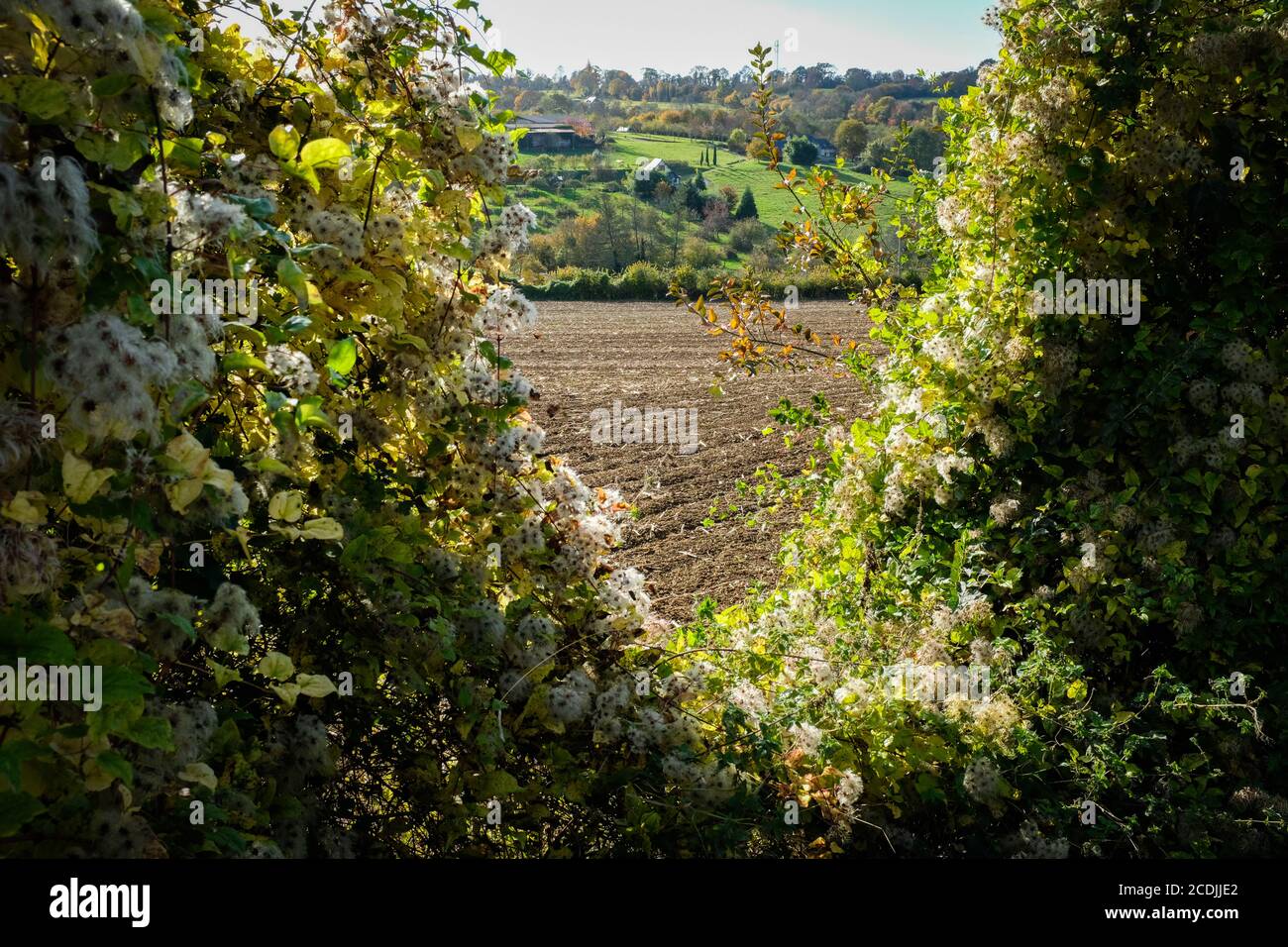 Normandy in autumn hi-res stock photography and images - Alamy