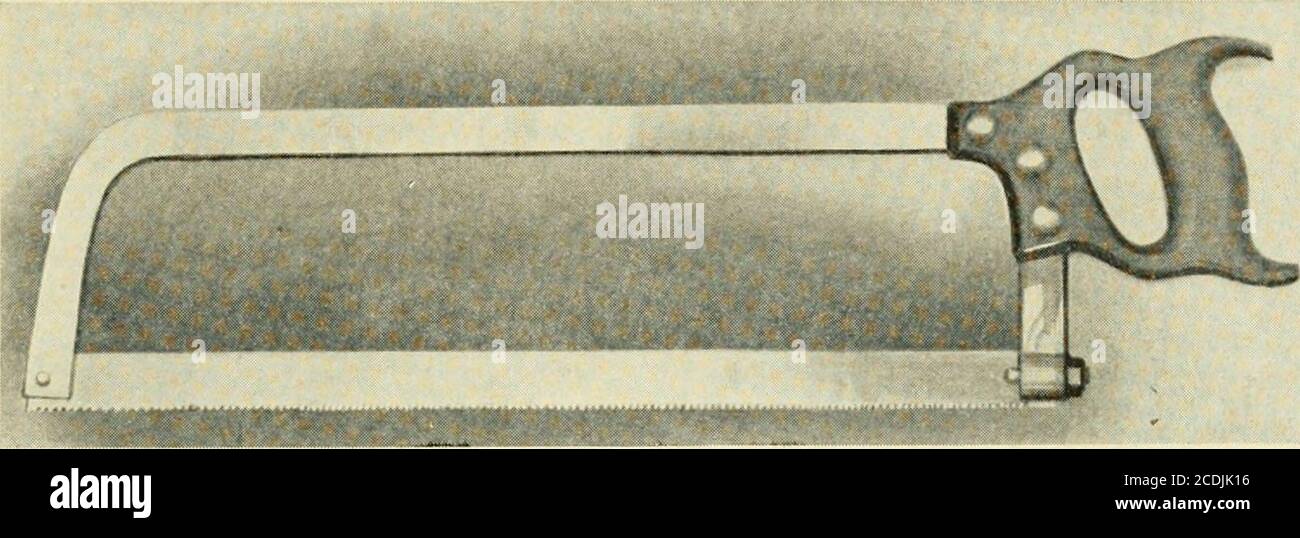 Bones of the calvarium hi-res stock photography and images - Alamy