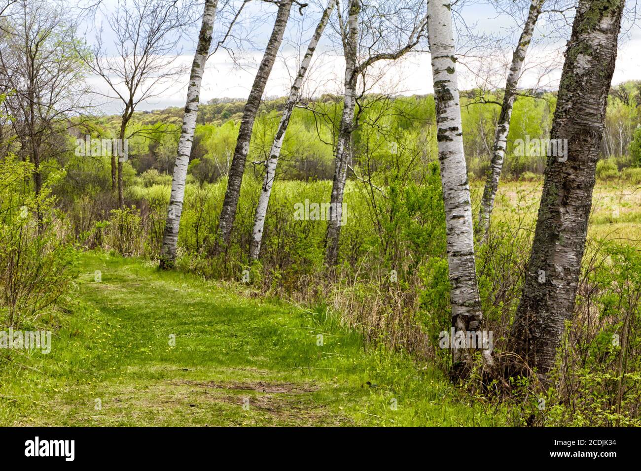 Early Spring in Minnesota Stock Photo - Alamy