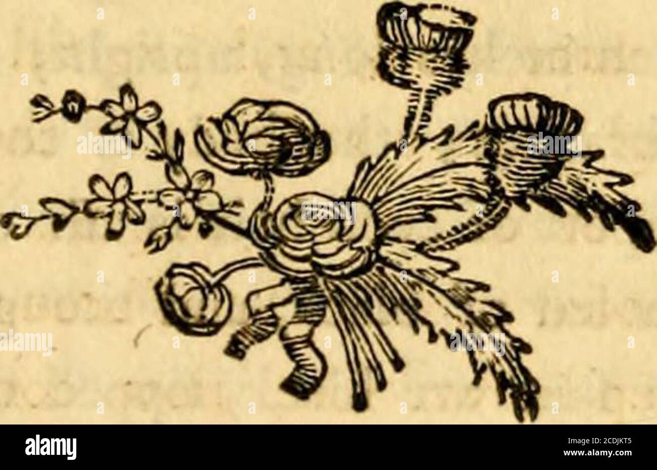 . A general history of quadrupeds : the figures engraved on wood . o ...