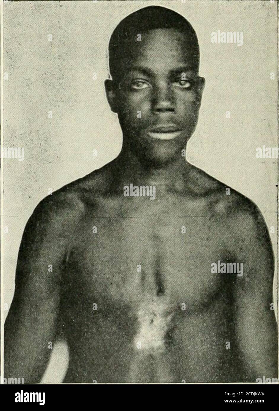 Painis hi-res stock photography and images - Alamy