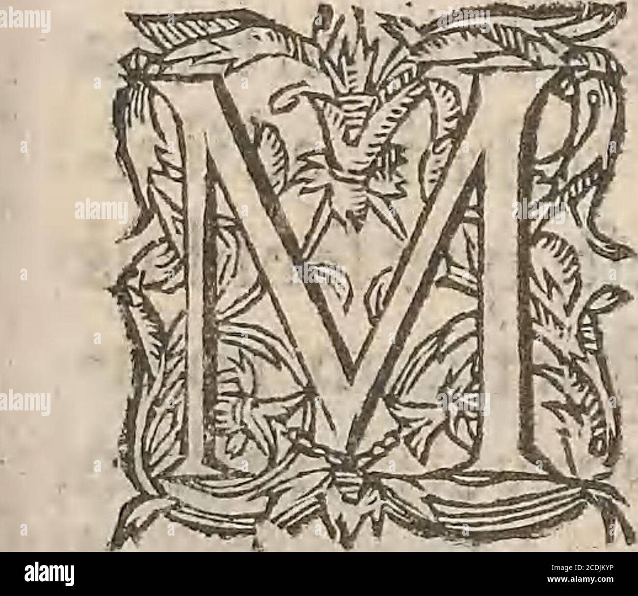 Circulis hi-res stock photography and images - Alamy