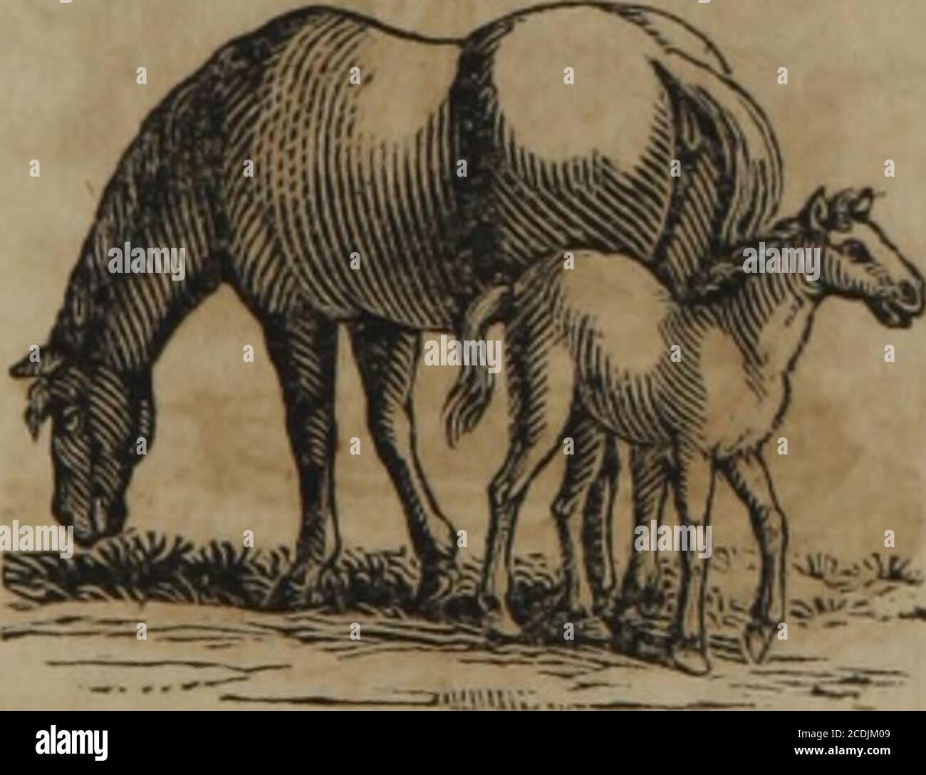 . Elementary exercises for the deaf and dumb . fe*Sfe*3 Stock Photo - Alamy