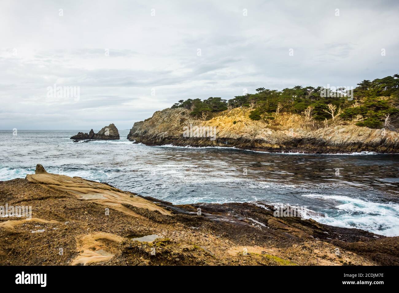 Carmel bay ecological reserve hi-res stock photography and images - Alamy
