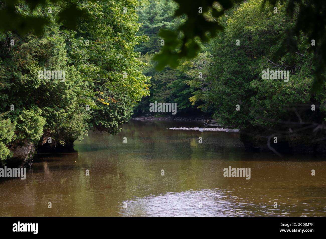 The river in a deep valley Stock Photo - Alamy